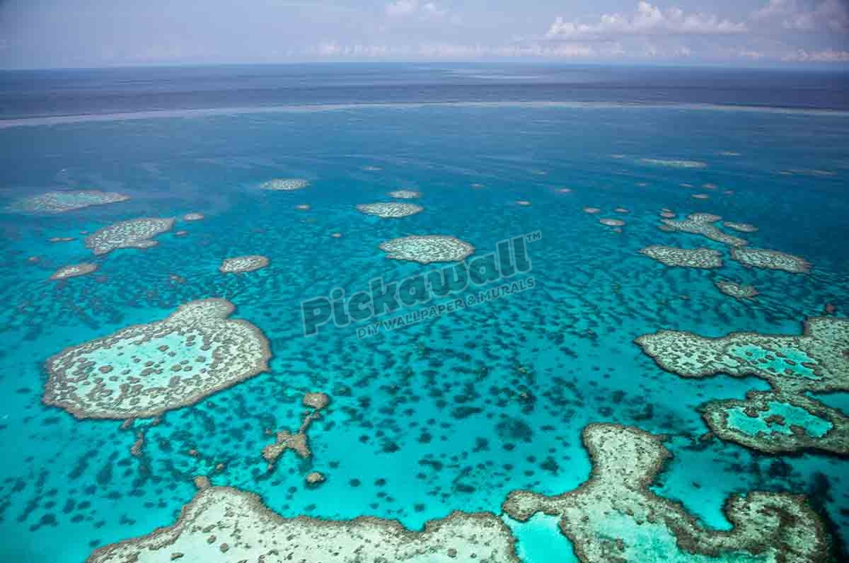 Great Barrier Reef - Pickawall