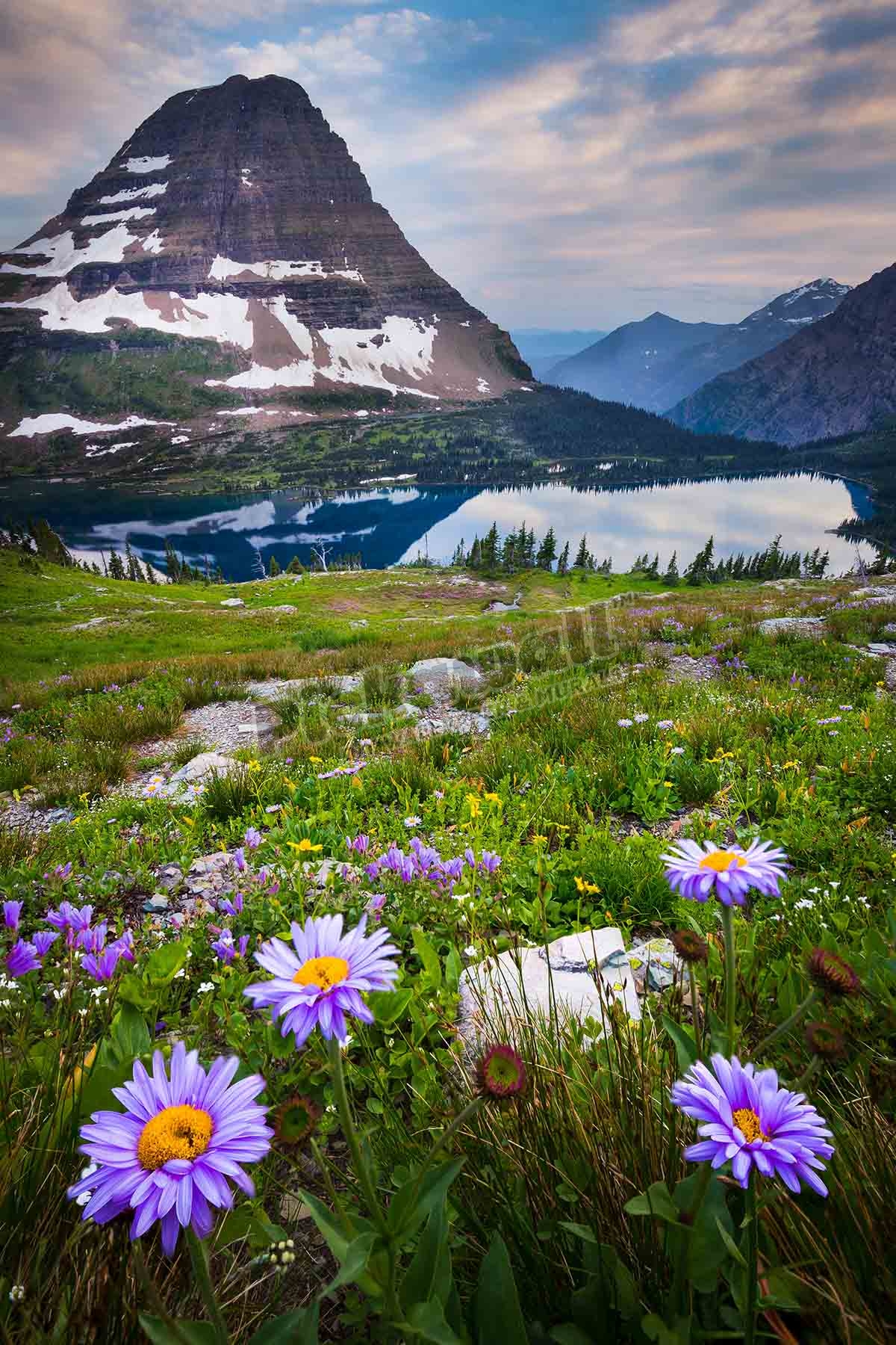 Hidden Lake, Glacier National Park - Pickawall