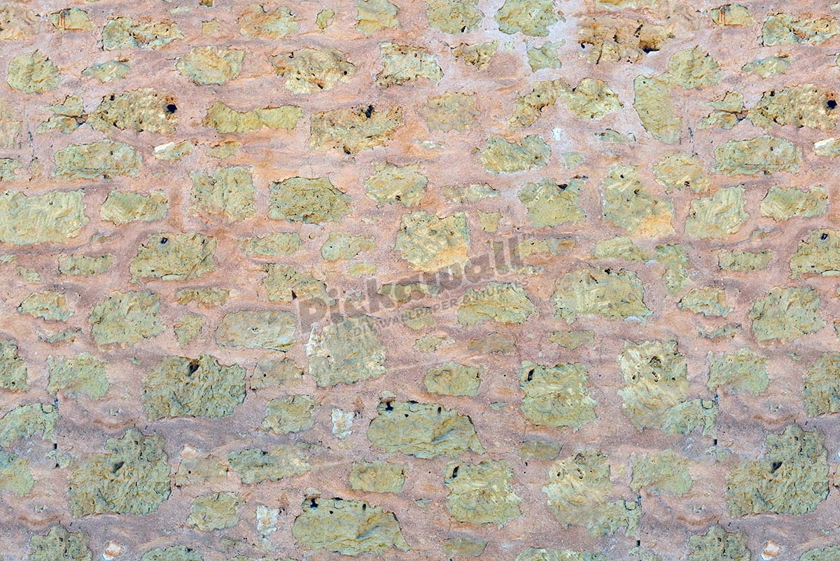 Green Stone Rendered Wall - Pickawall
