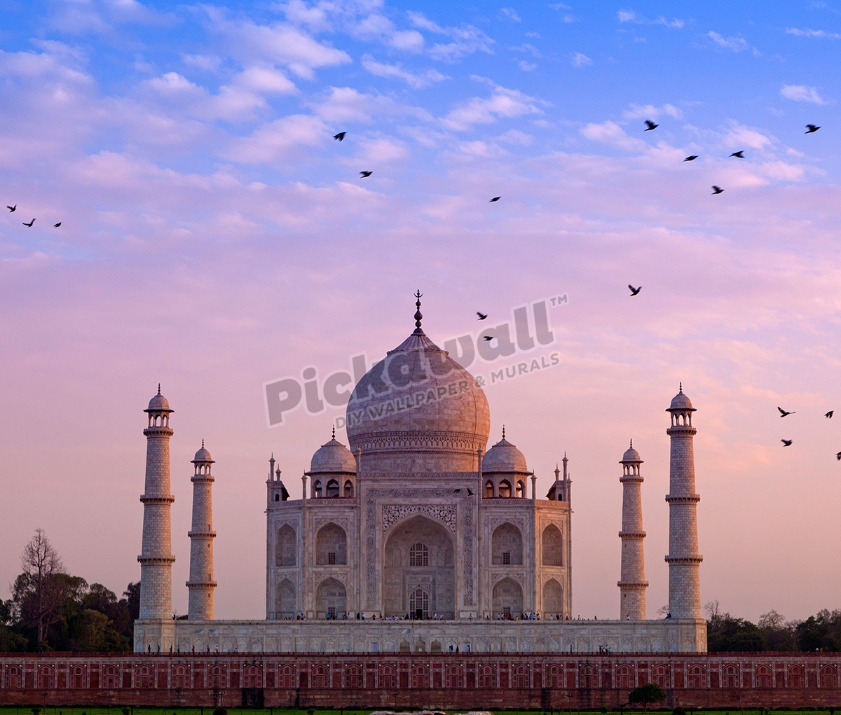birds flying near Taj Mahal - Pickawall
