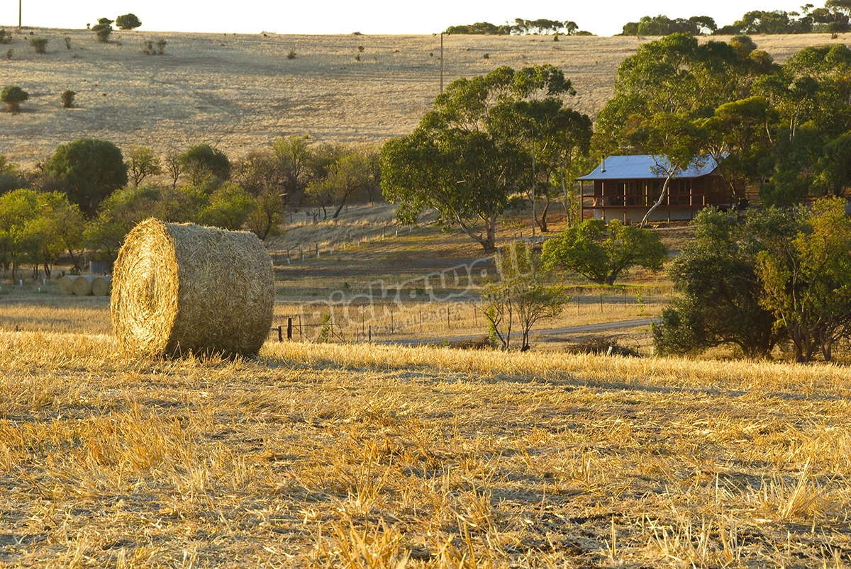 Australian country-side - Pickawall