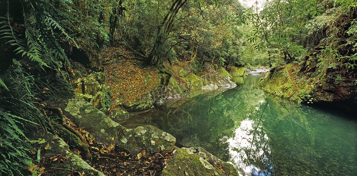 Crystal Pool, Williams River, Barrington Tops National Park - Pickawall