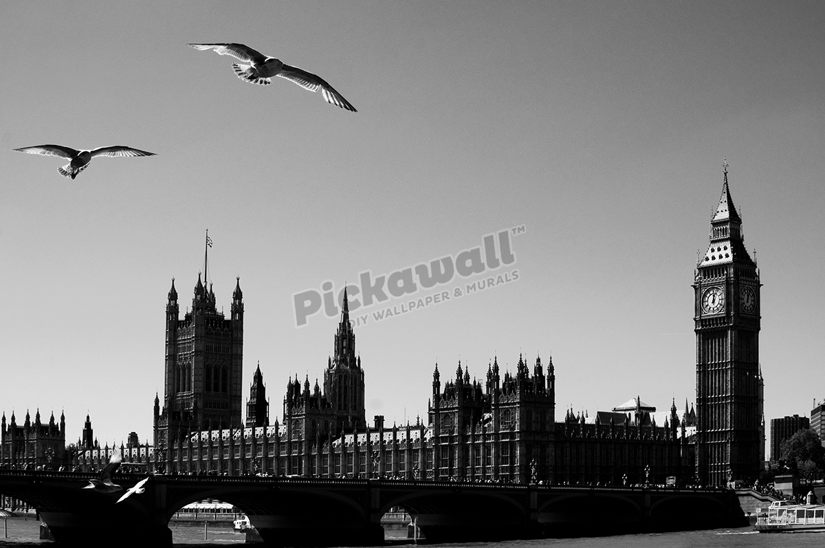 Big Ben clock tower with birds - Pickawall