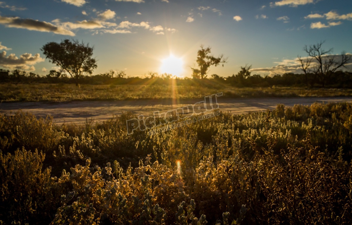 Mildura Sunset - Pickawall